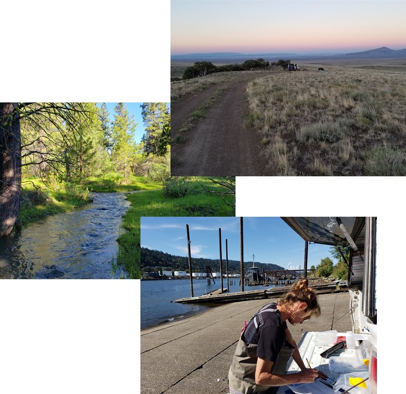 The Oregon Biodiversity Genome Project | ODFW REDD